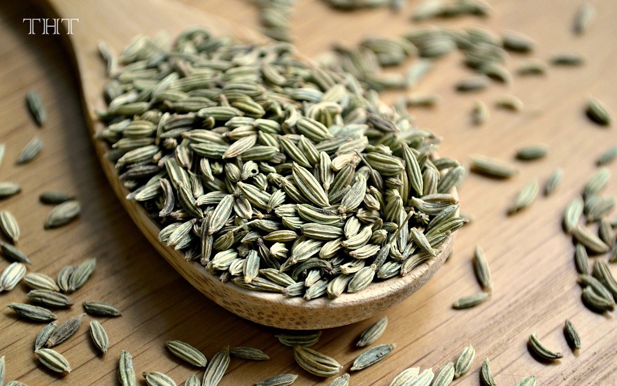 Os Impressionantes Benefícios do Funcho (Erva-doce) - THT Healing